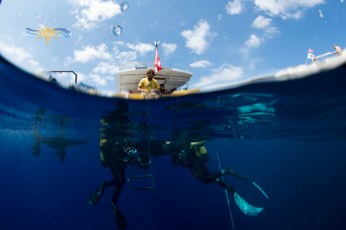Welcome to Ustica | Ustica Diving