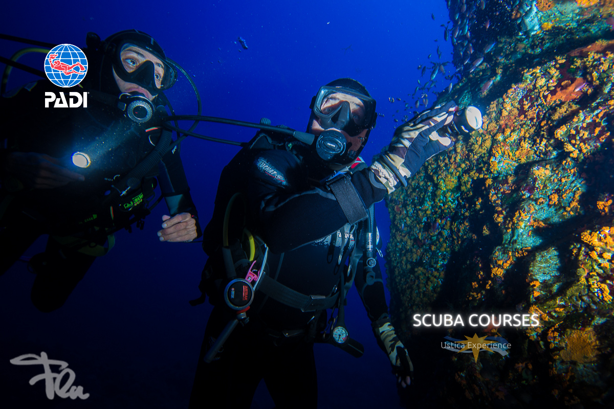 Scuba Courses | Ustica Diving