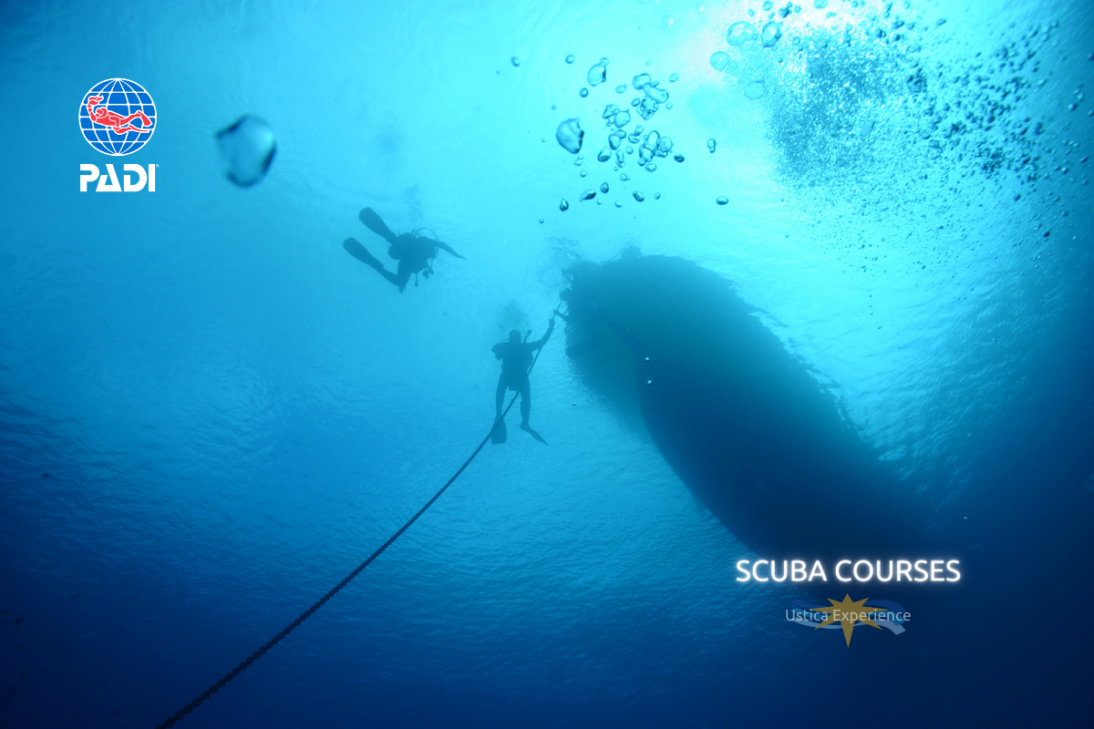 Scuba Courses | Ustica Diving