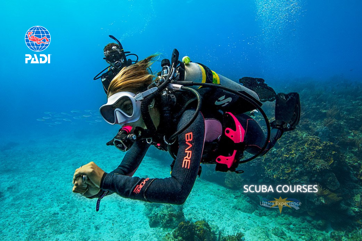 Scuba Courses | Ustica Diving