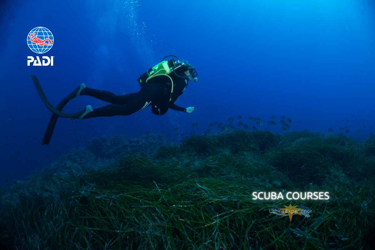 Scuba Courses | Ustica Diving