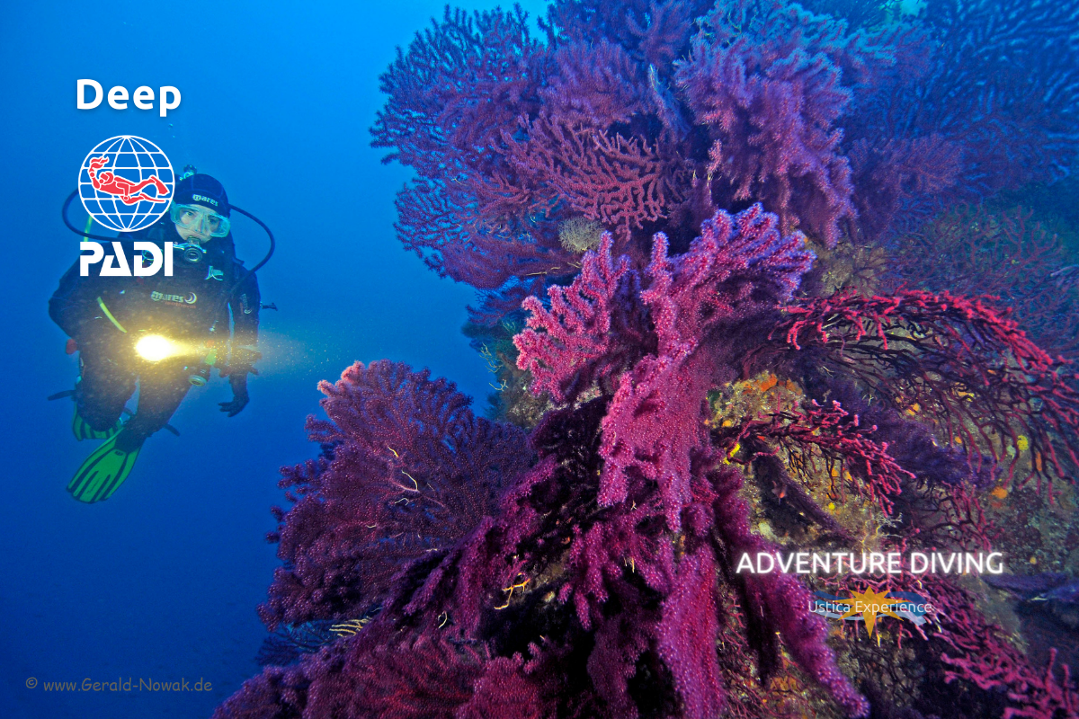 Adventure Diving | Ustica Diving